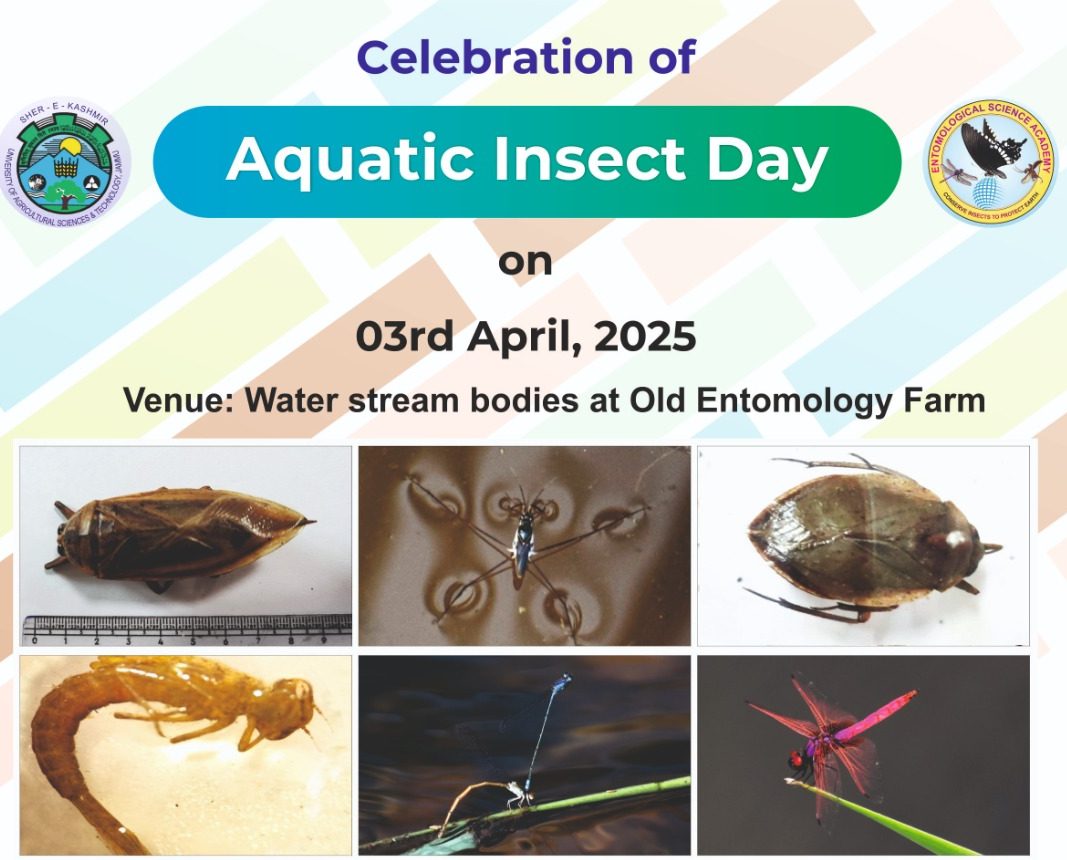 Entomological Science Academy – Conserve Insects to Protect Earth